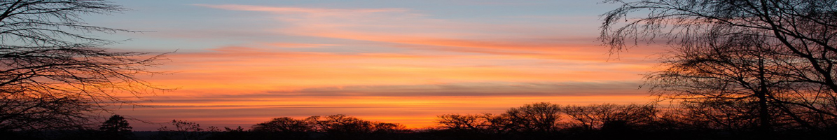 Home [www.barkham.org.uk]